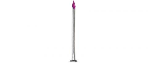 Fingernail Drug and Alcohol Test | DNA Legal